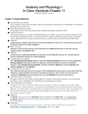 14. Skeletal system diagrams - unlabelled - Key: 1. carotid canal 2 ...