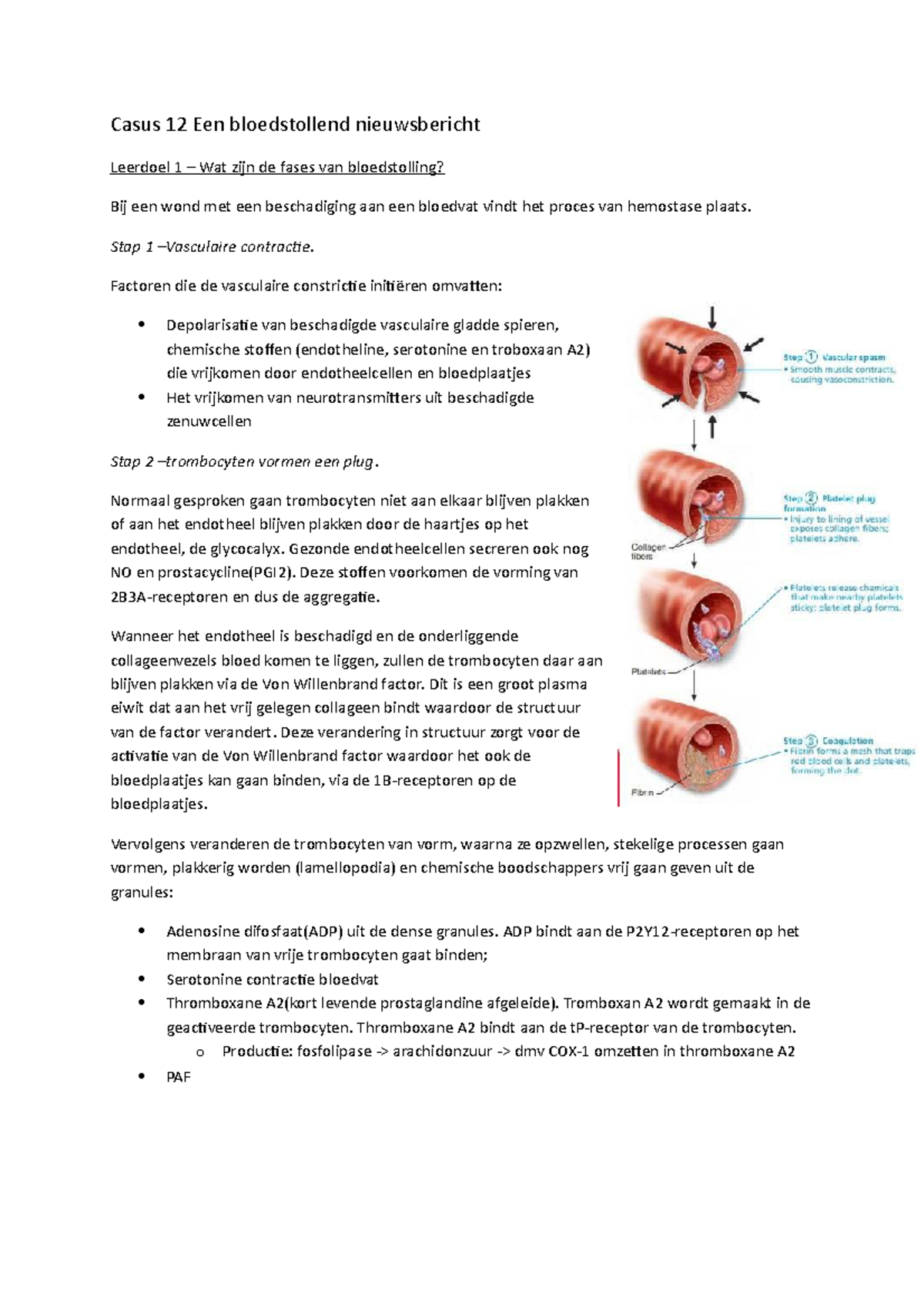 Casus 12: Fases van Bloedstolling en Trombose Mechanismen - Studeersnel