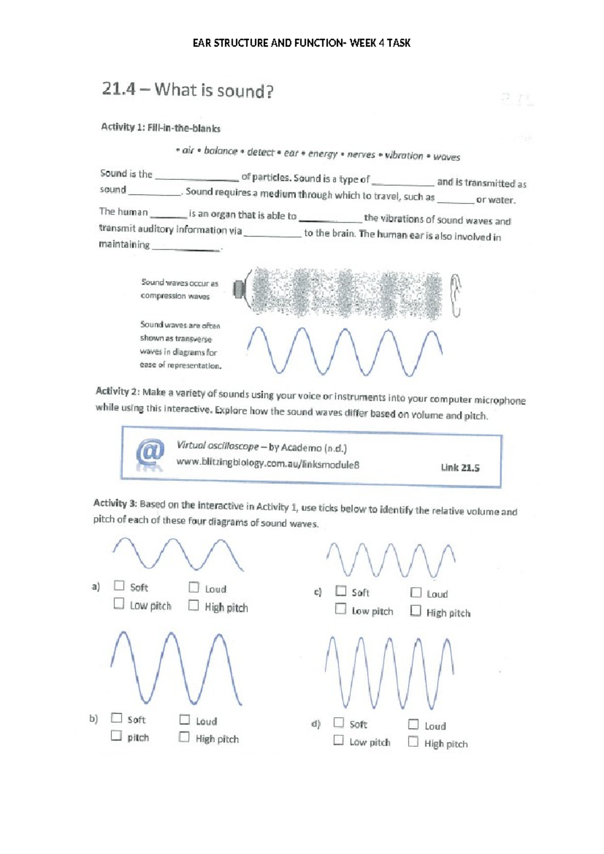 Ear Structure and Function: Week 4 Task Overview - Studocu