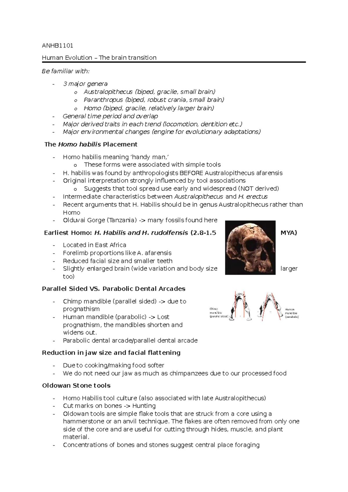 ANHB1101 Human Evolution: Key Trends and Genera from Australopithecus ...