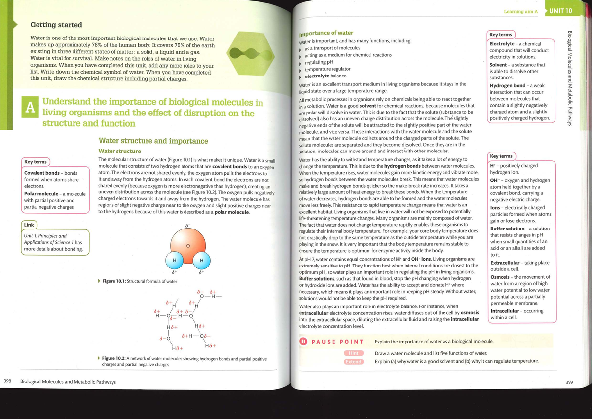 A1 Water - Importance and Functions in Biological Molecules (BTEC ...