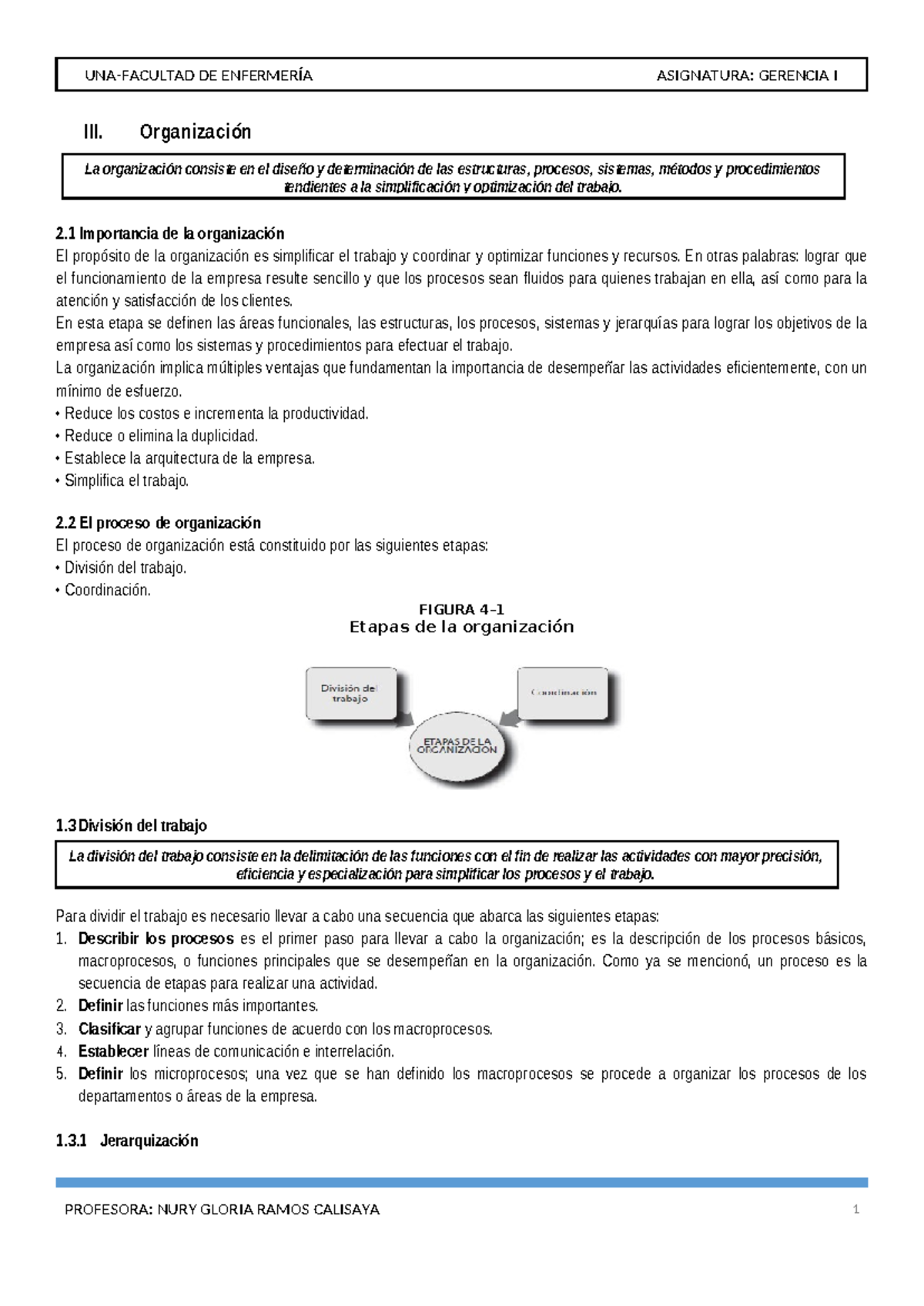 Organización en Gerencia I - DE ENFERMERÍA: Estructuras y Procesos ...