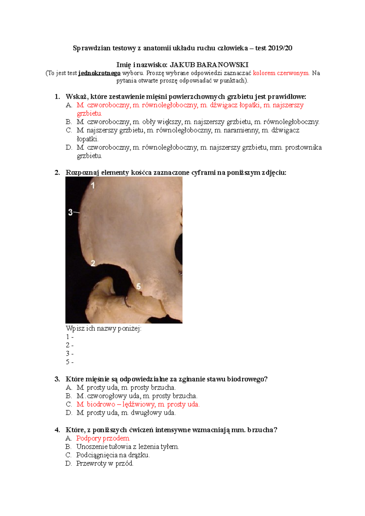 Test anatomia - Test z anatomii - Sprawdzian testowy z anatomii układu ...