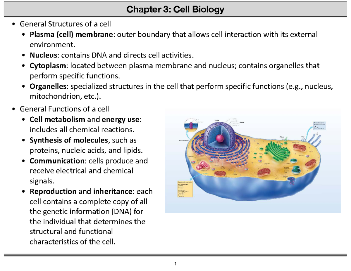 Cell Biology Concepts: Structures & Functions (BIO 101) - Studocu