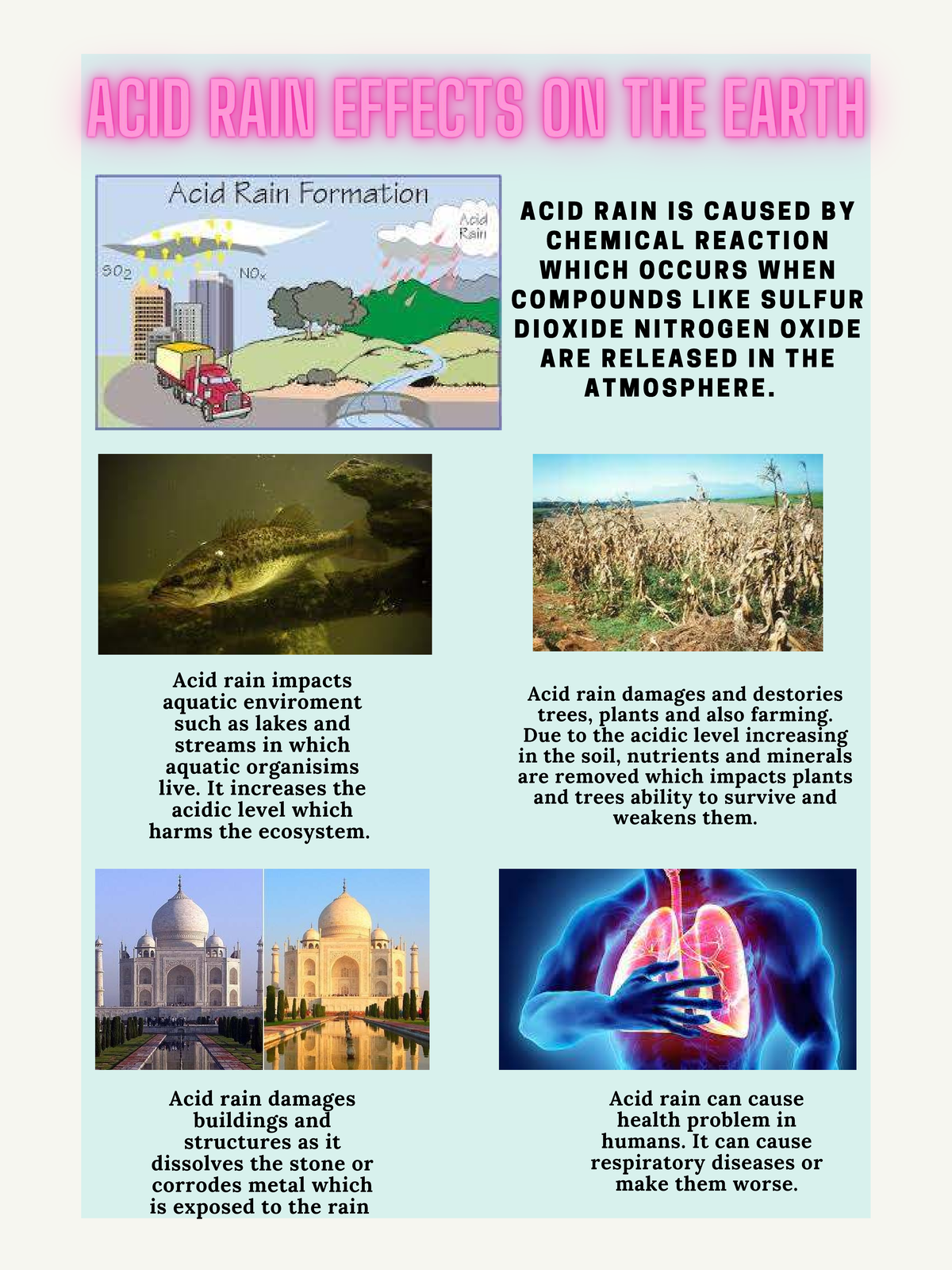 U1A2 - The Impact of Acid Rain on Ecosystems and Health - Studocu