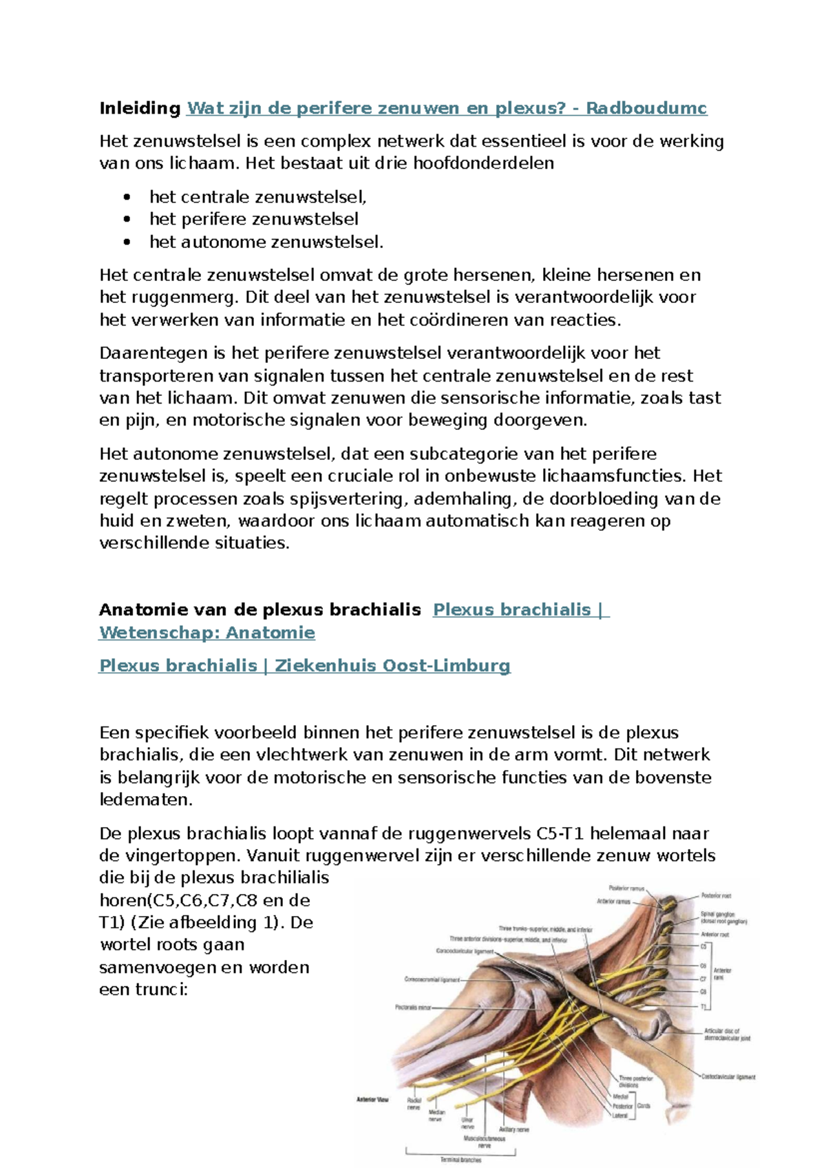 Plexus Brachialis: Anatomie en Letsel van Perifere Zenuwen - Studeersnel