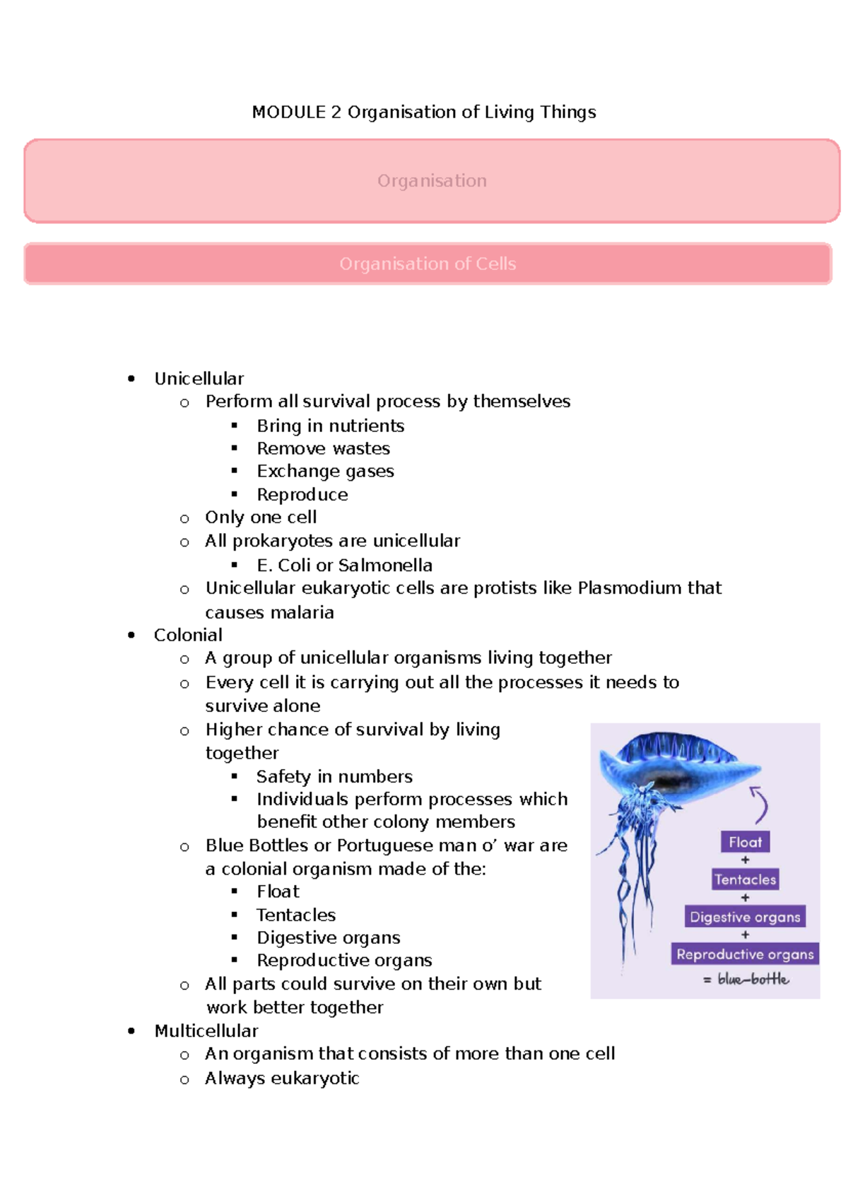 Module 2: Organisation of Living Things - Cells & Structures Overview ...