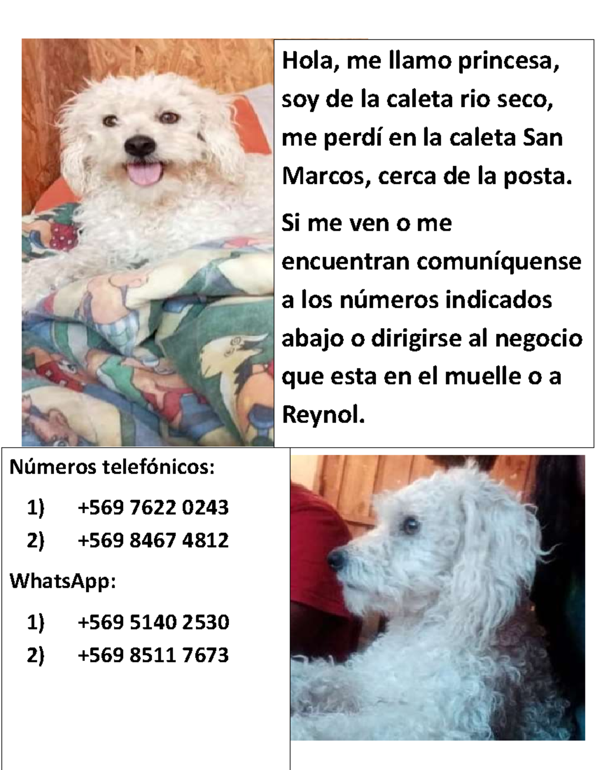 Búsqueda de Princesa en Caleta San Marcos - Bsnsn - Studocu