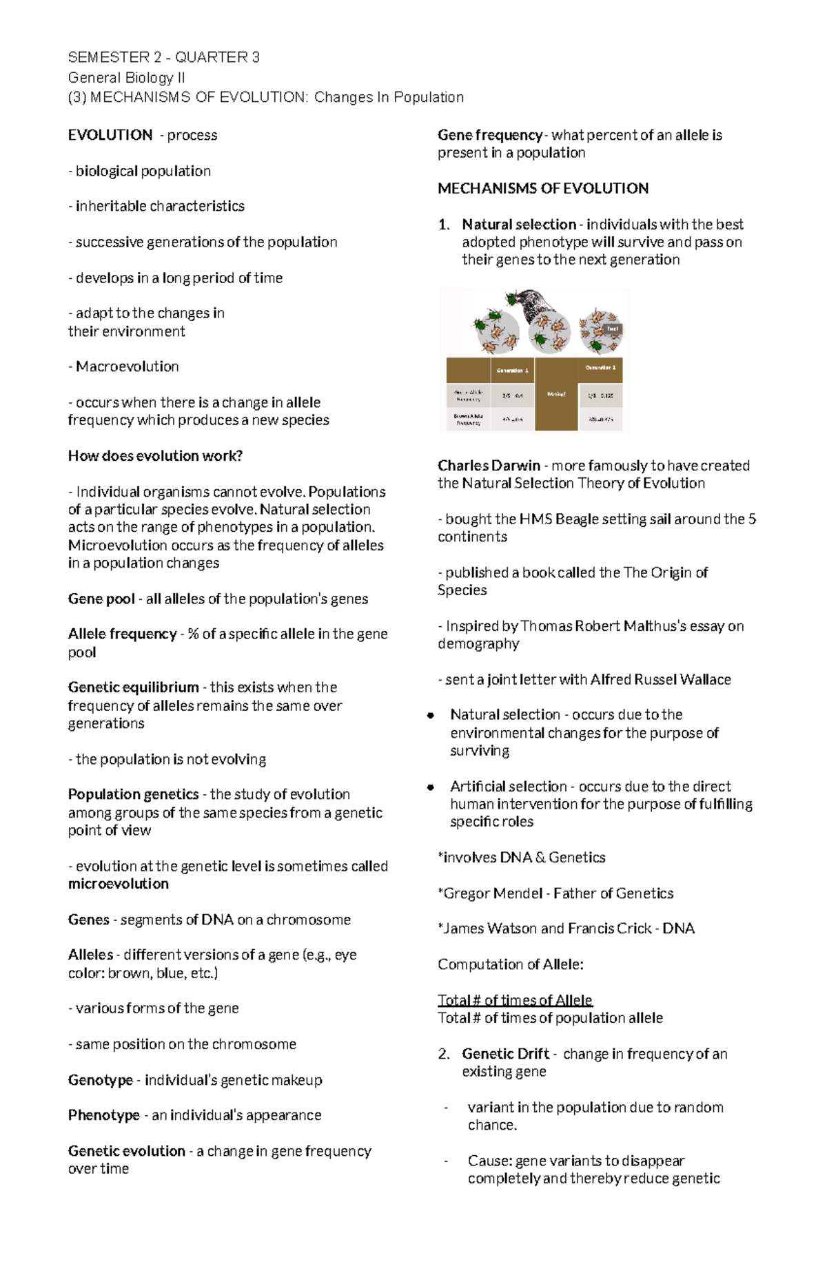 Genbio II Review: Mechanisms of Evolution Notes - Studocu