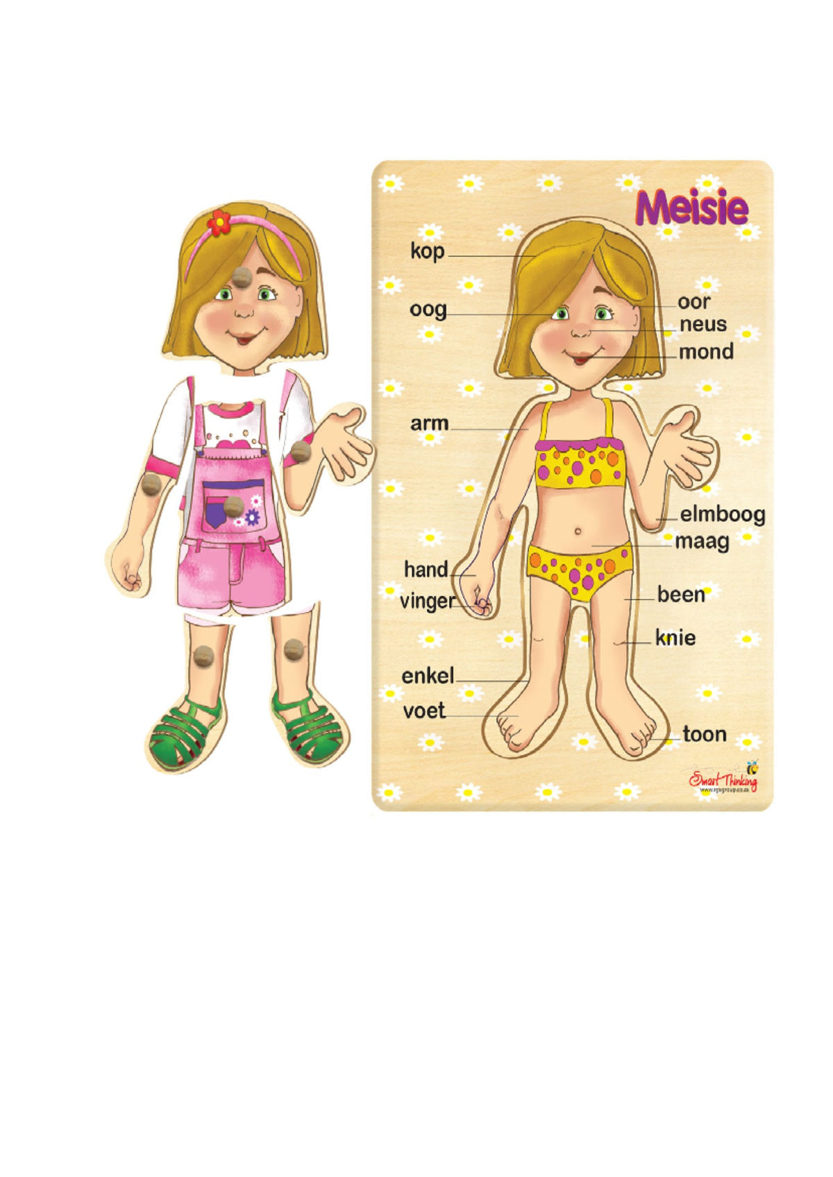 Afrikaans Verkleinings Rules & Examples Booklet - DIE LIGGAAM - Studocu