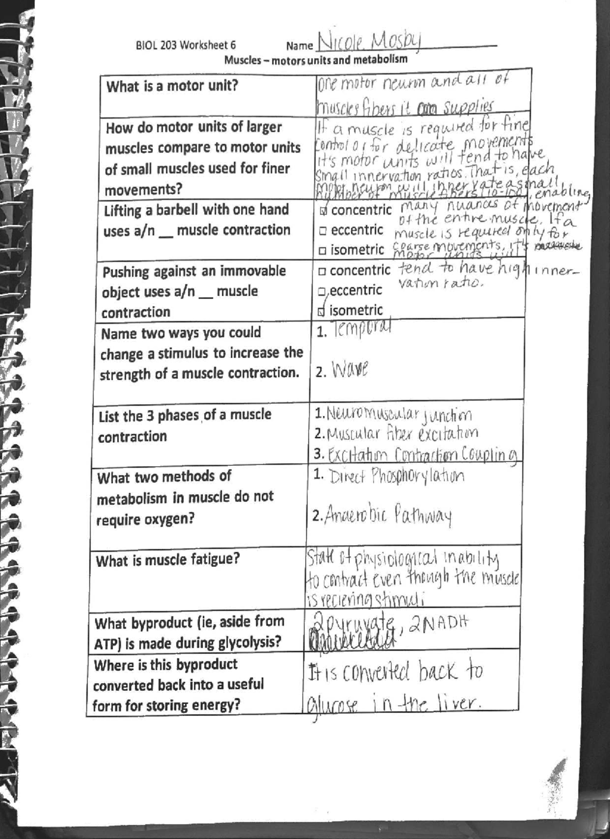 BIOL 203 Worksheet 6: Motor Units, Muscle Contraction & Metabolism ...