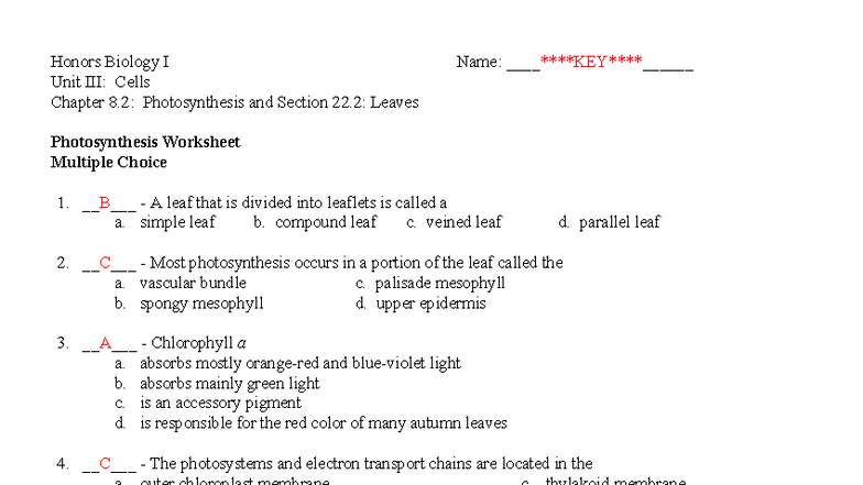 Honors Biology HW: Photosynthesis Worksheet Key (Ch. 8.2 & Sec. 22.2 ...