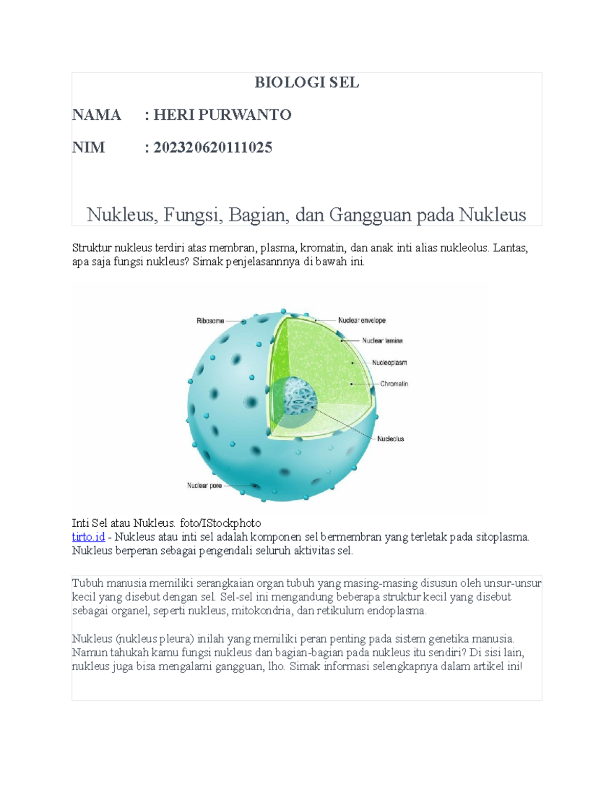 BIO 101: Fungsi dan Struktur Nukleus pada Sel Tumbuhan dan Gangguannya ...