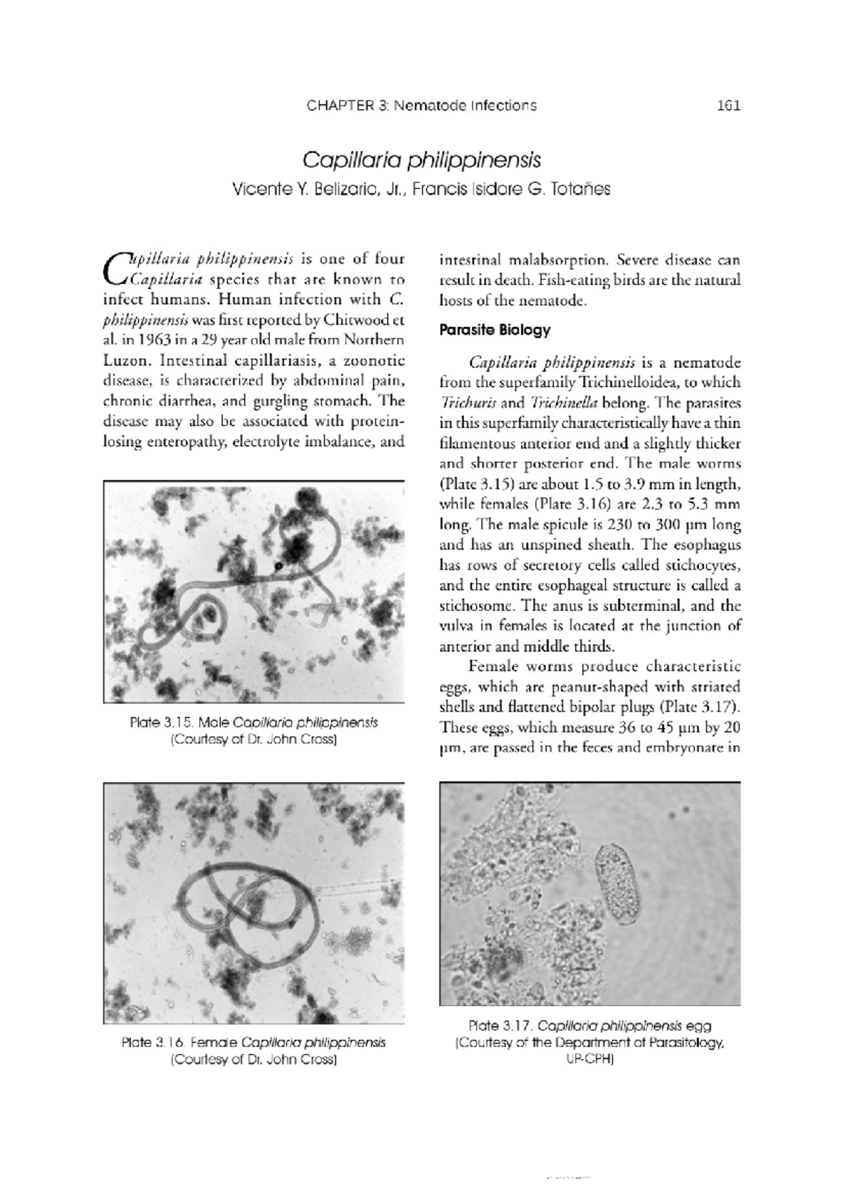 Parasitology 101: Chapter 3 Nematode Infections - Capillaria ...