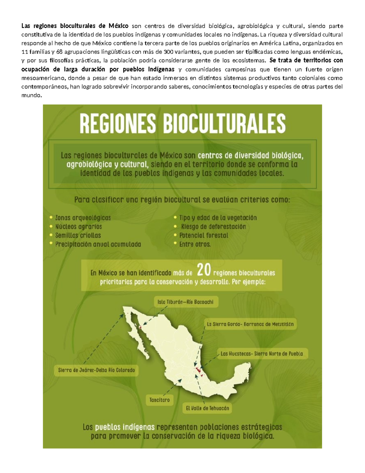 Las regiones bioculturales de México - La riqueza y diversidad cultural ...