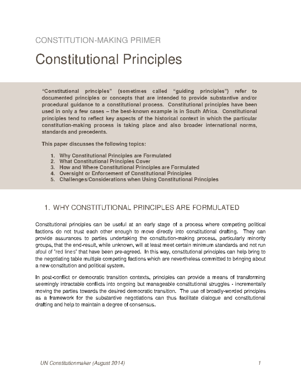 Constitution-Making Primer: Key Constitutional Principles Explained ...