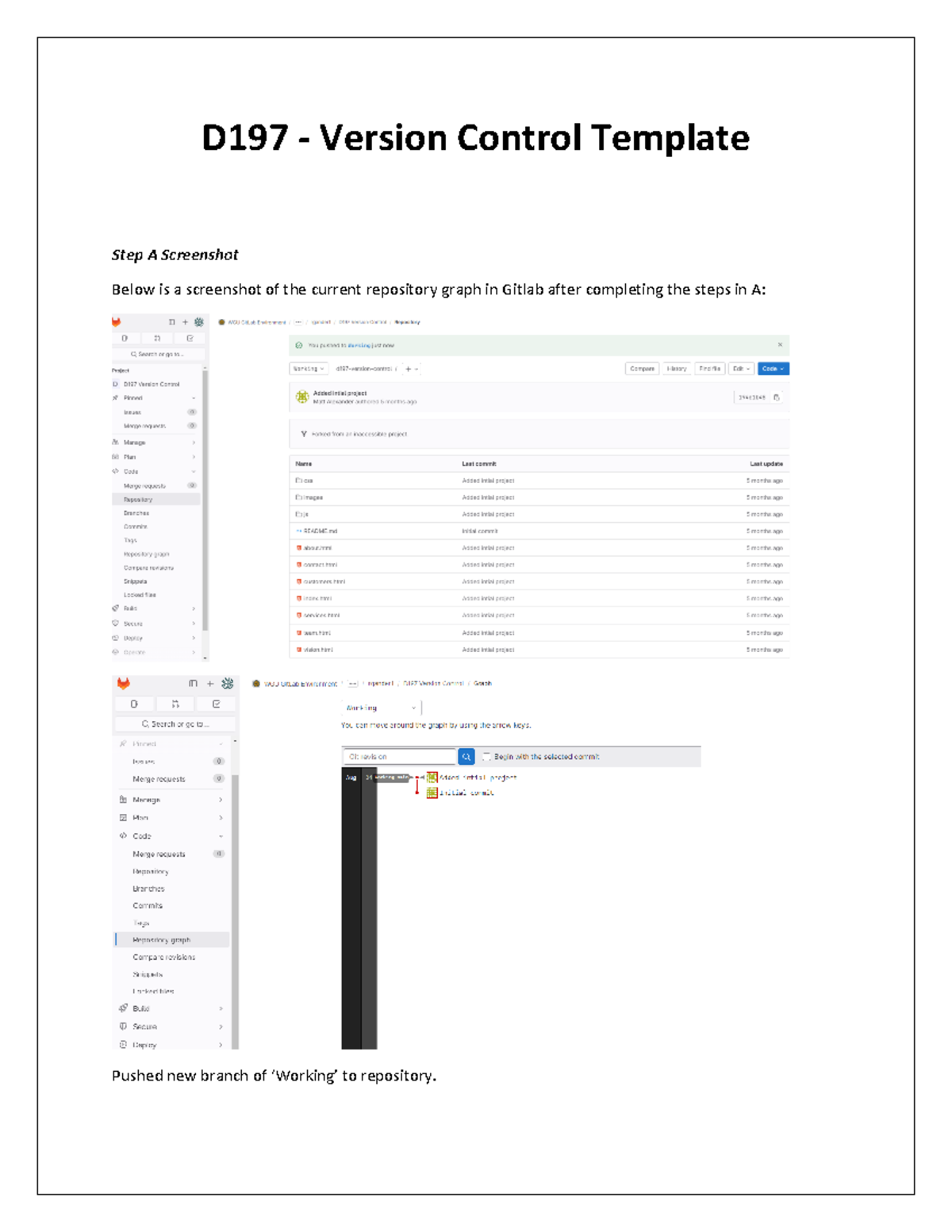 D197 - Version Control Process Summary and Screenshots - Studocu