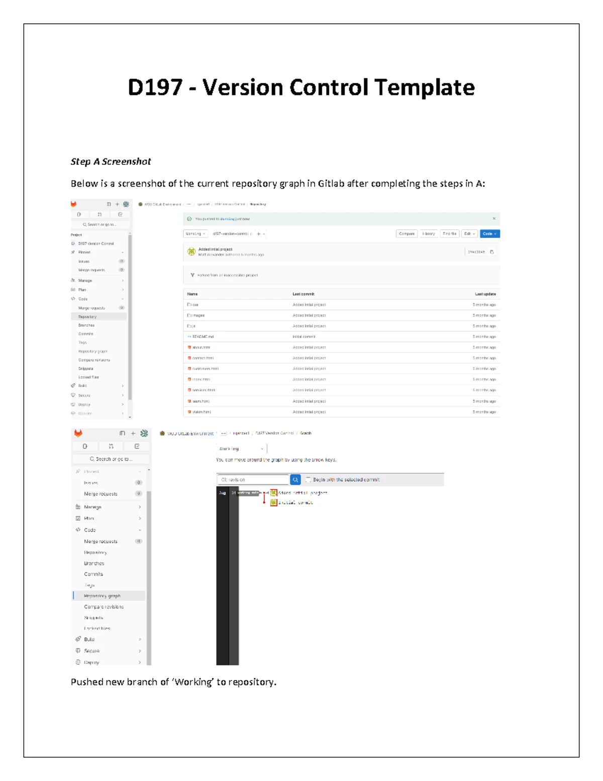 D197 - Version Control Process Summary and Screenshots - Studocu