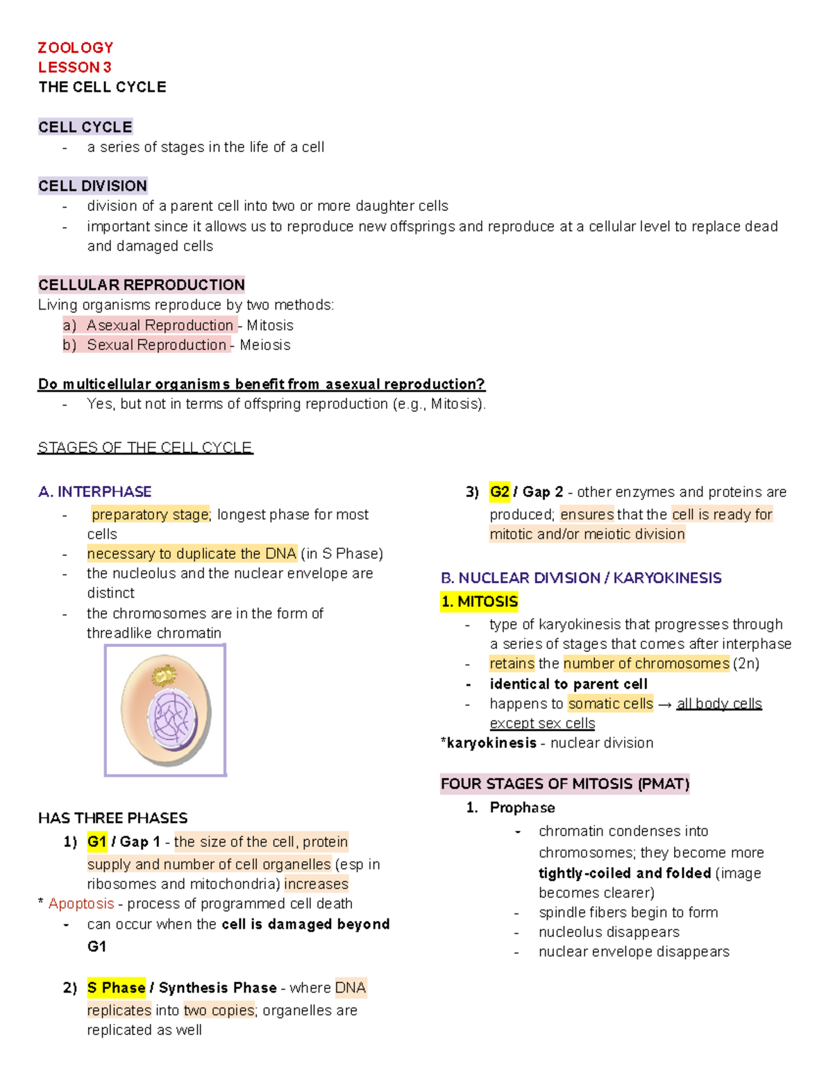 Zoology 101 - Cell Cycle Lesson Overview and Reproduction Techniques ...