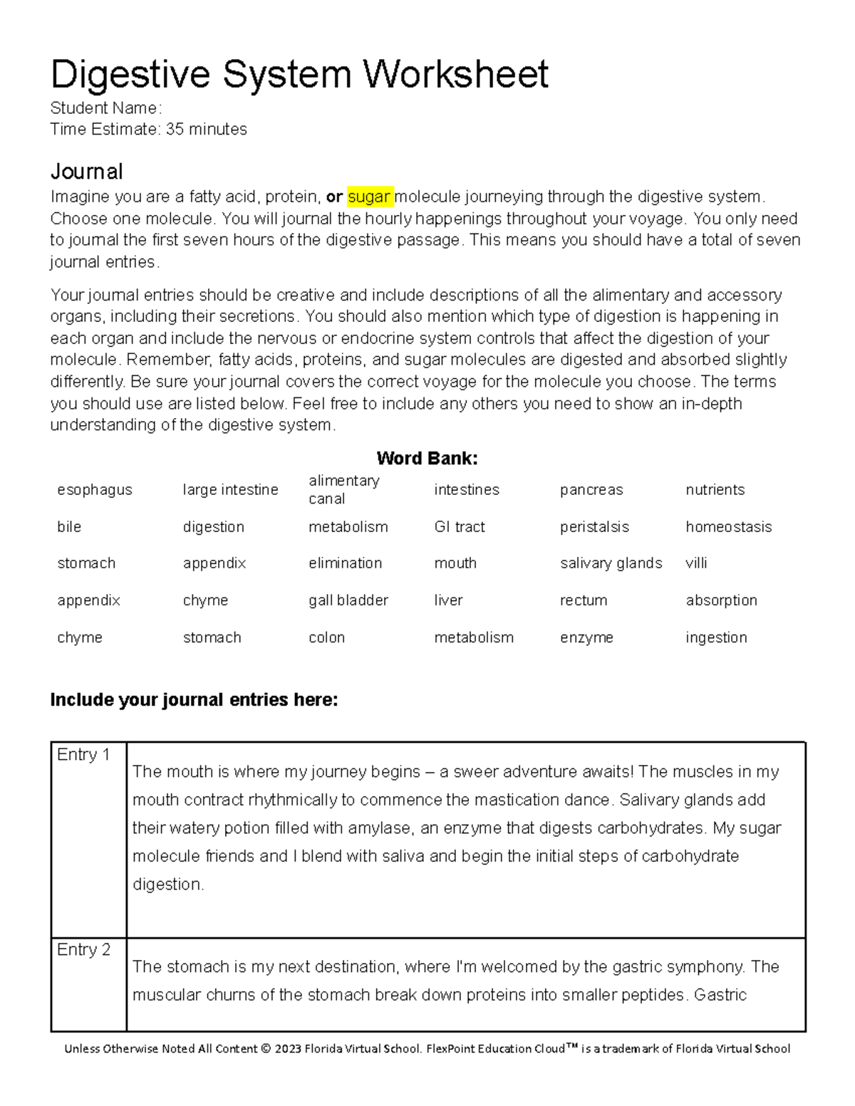504 Assignment: Digestive System Journey Worksheet Journal - Studocu