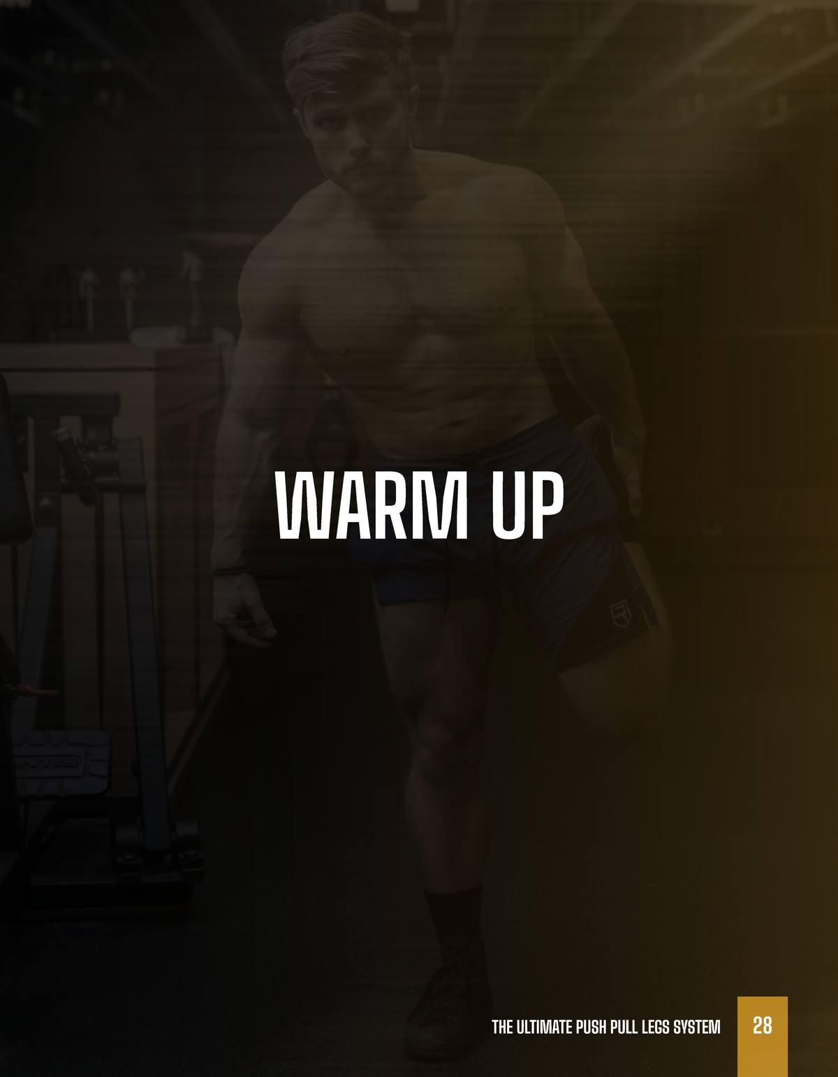Ultimate PPL System: Warm-Up & Workout Guide (4x Day) - Studocu