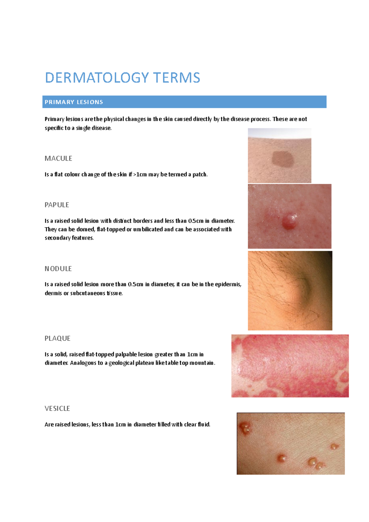 Primary Skin Lesions Dermatology