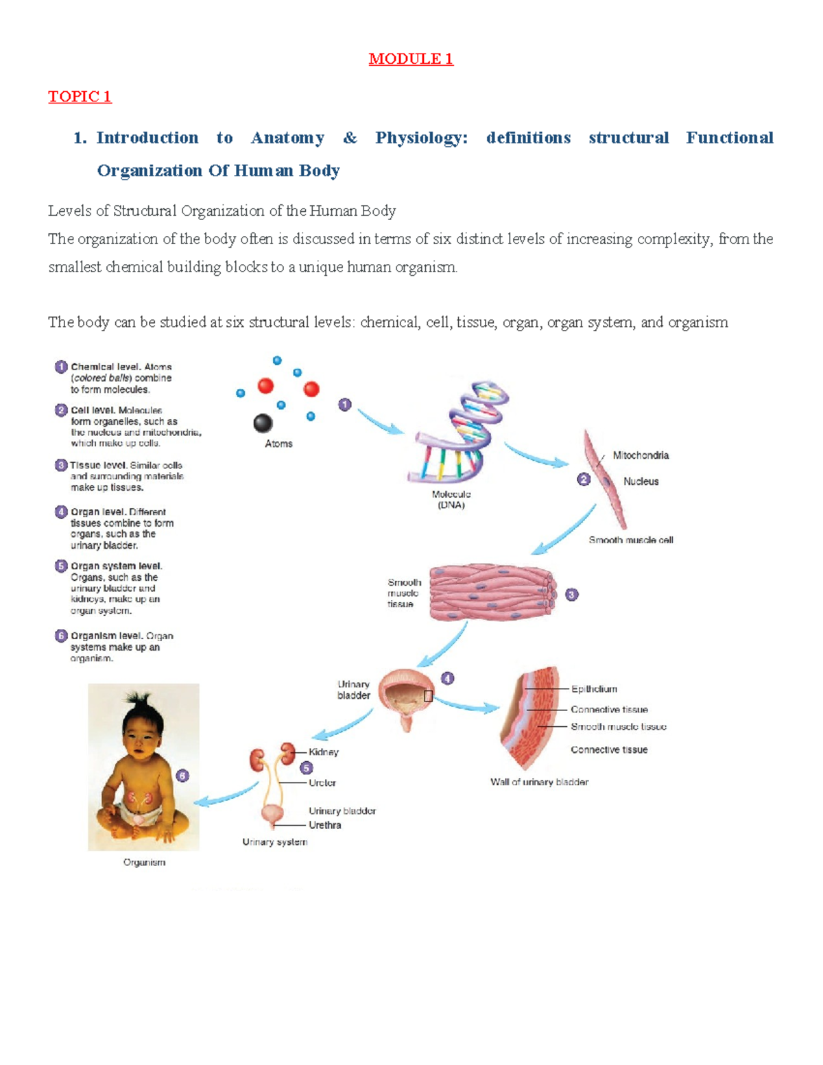 Module 1 - Cell Homeostasis: Anatomy & Physiology Overview - Studocu