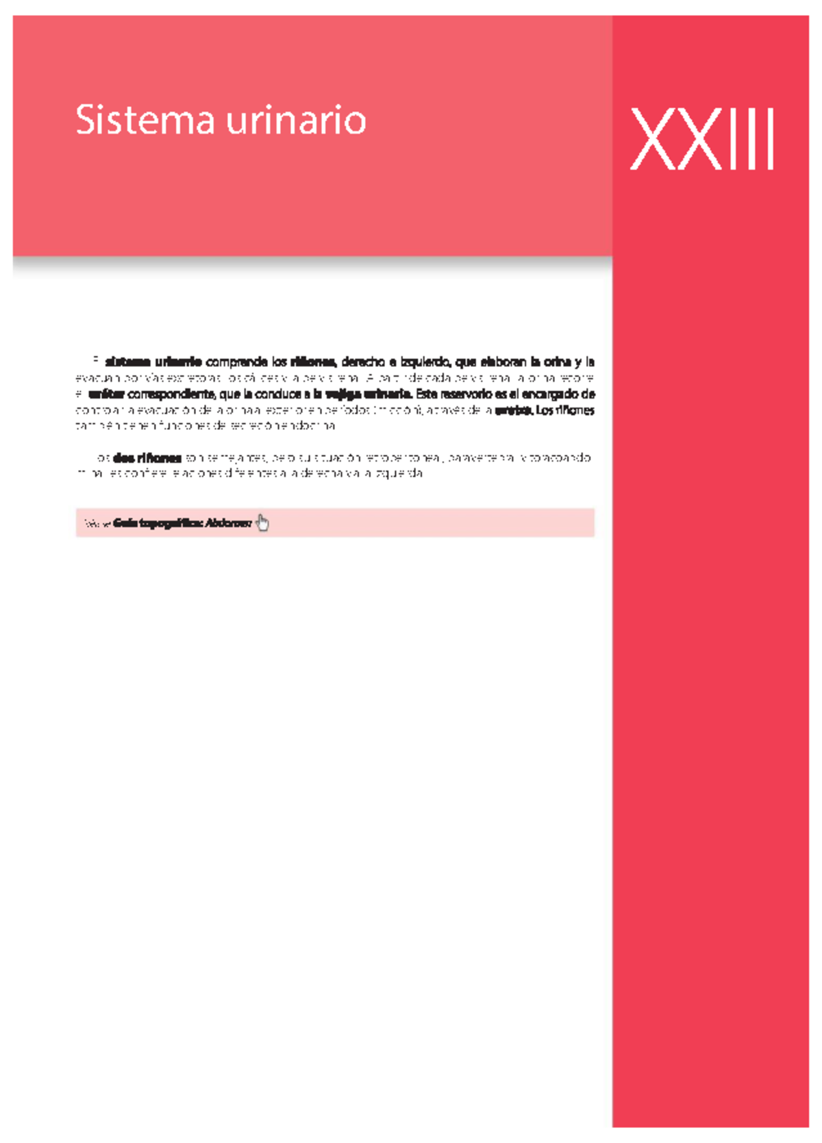Anatomía del Sistema Urinario: Riñones, Uréteres y Vejiga (URO 101 ...