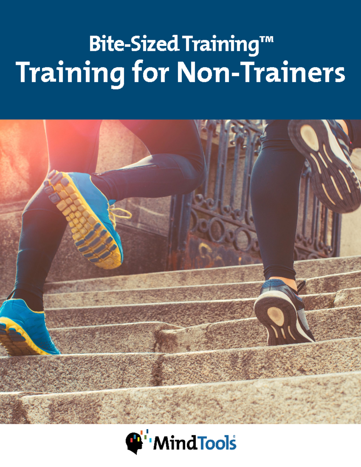 Bite-Sized Scenario Training™: Effective Training for Non-Trainers ...