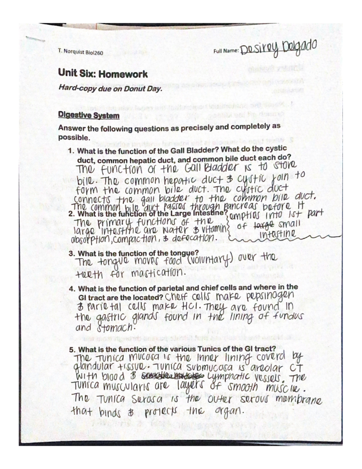Biol260 Unit 6 Homework: Digestive & Urinary System Insights - Studocu