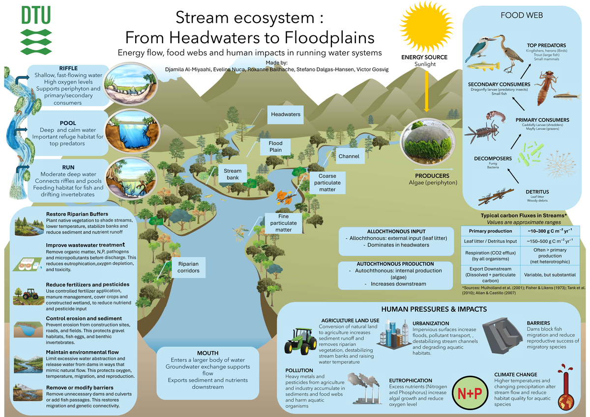 FOOD WEB & HUMAN IMPACTS IN RUNNING WATER SYSTEMS - RIFFLE - Studocu