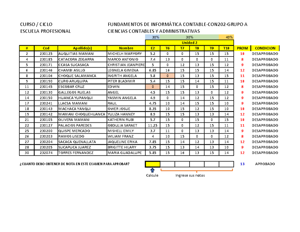 Fundamentos de Informática Contable - CON202 - Grupo A - Notas y ...