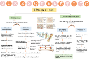 Linea mamaria, proyecciones de mastografía - PROYECCIONES DE ...