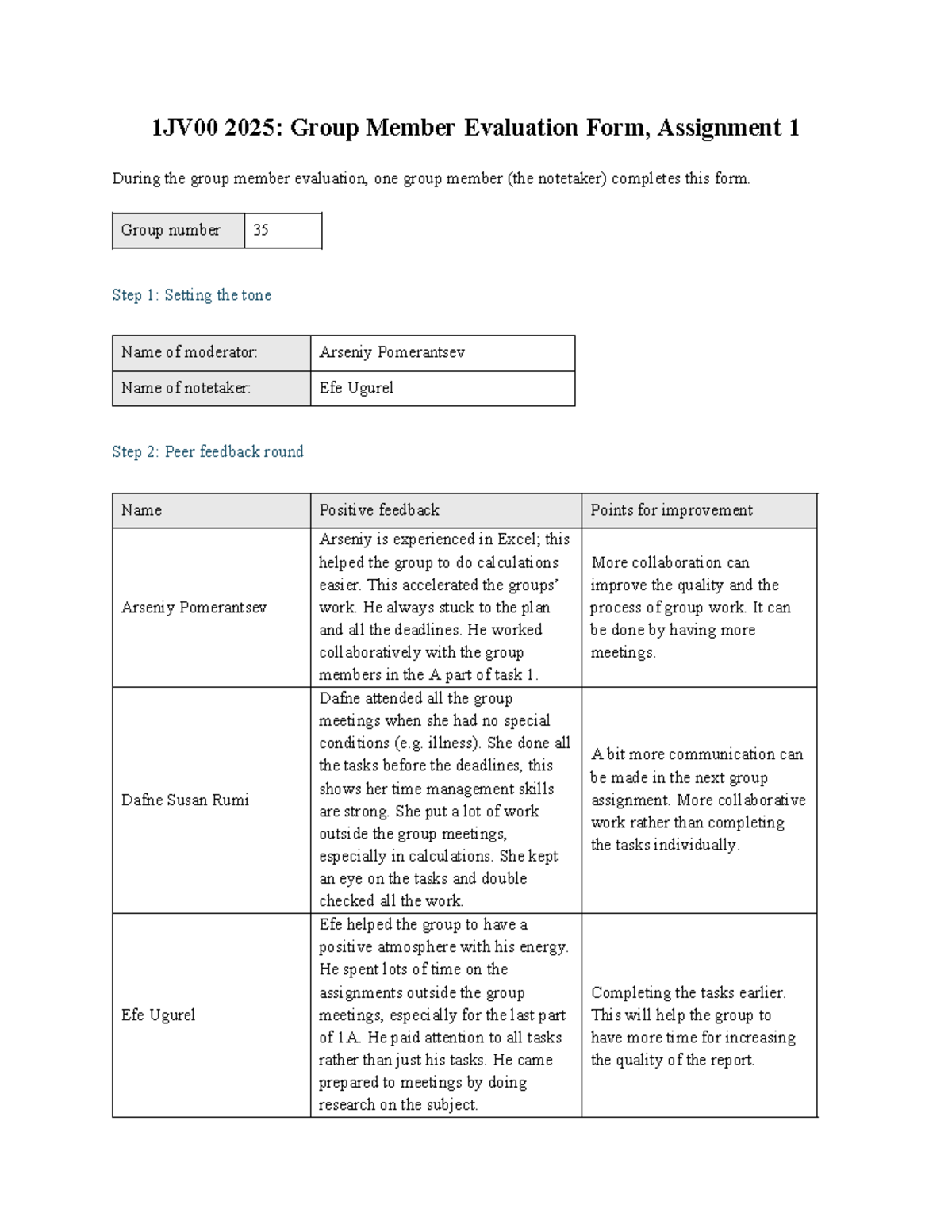 1JV00 2025: Group Member Evaluation Form - Assignment 1 Feedback ...