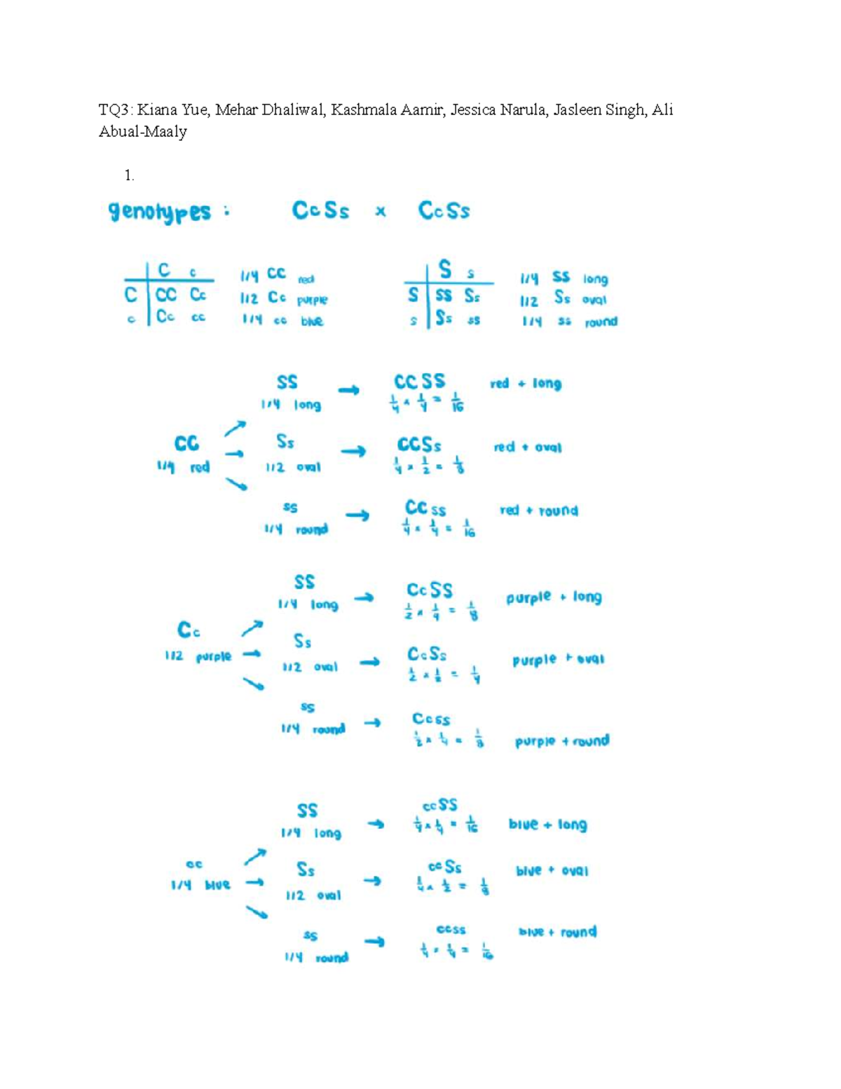 BIO207: Genetic Evidence and ABO Blood Type Inheritance Analysis - Studocu