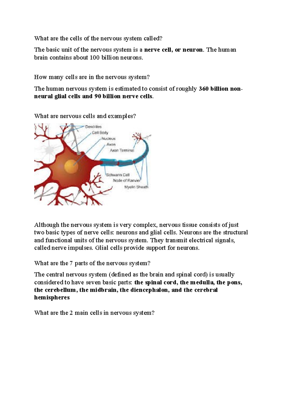 Unit 2 - Overview of Nervous System Cells and Functions - Studocu