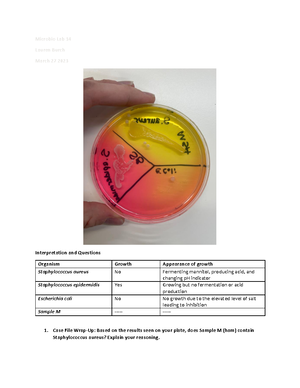 Lab Report 16 Eosin Methylene Blue Agar - Microbio Lab 16 March 28 ...