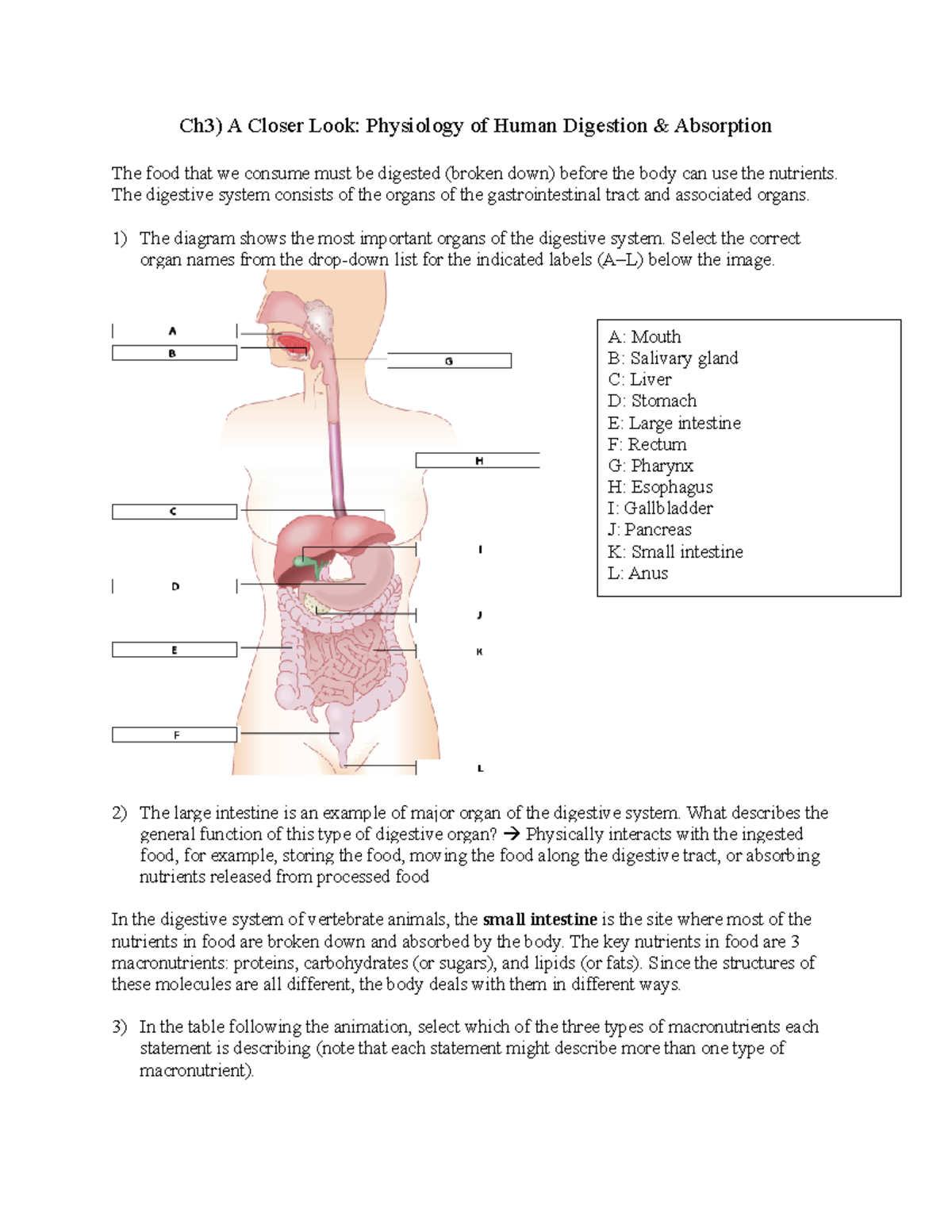 Ch3: Human Digestion & Absorption Overview for Physiology Study - Studocu