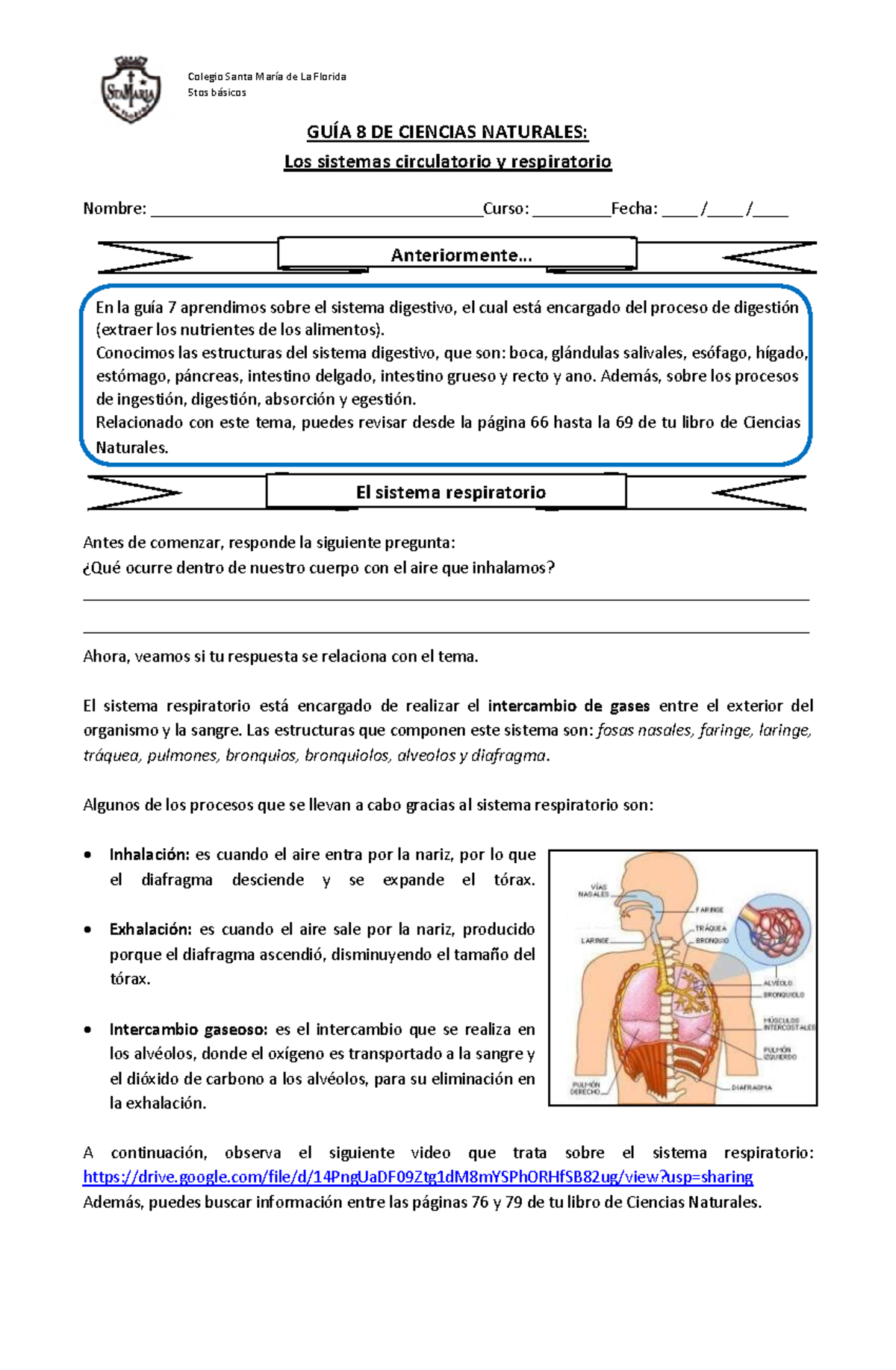 5° básico Ciencias Naturales Guía 8 Valeria Bravo - El sistema ...