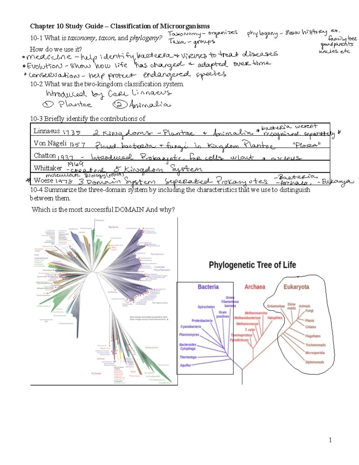 2022+MCB++Chapter+10+Study+Guide+ - Chapter 10 Study Guide – Classification of Microorganisms 10 ...
