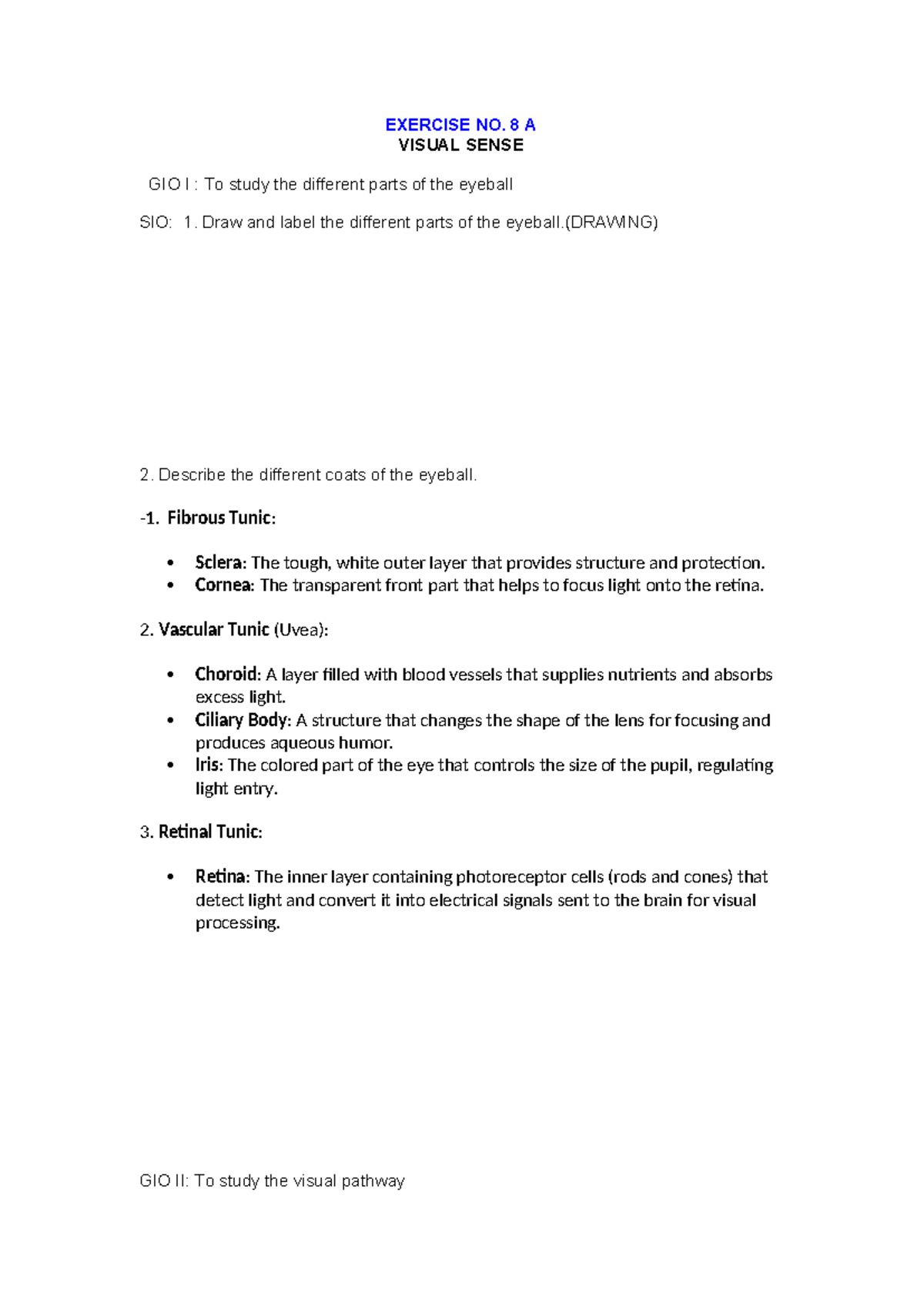 Exercise No. 8: Visual and Olfactory Senses Study Guide - Studocu