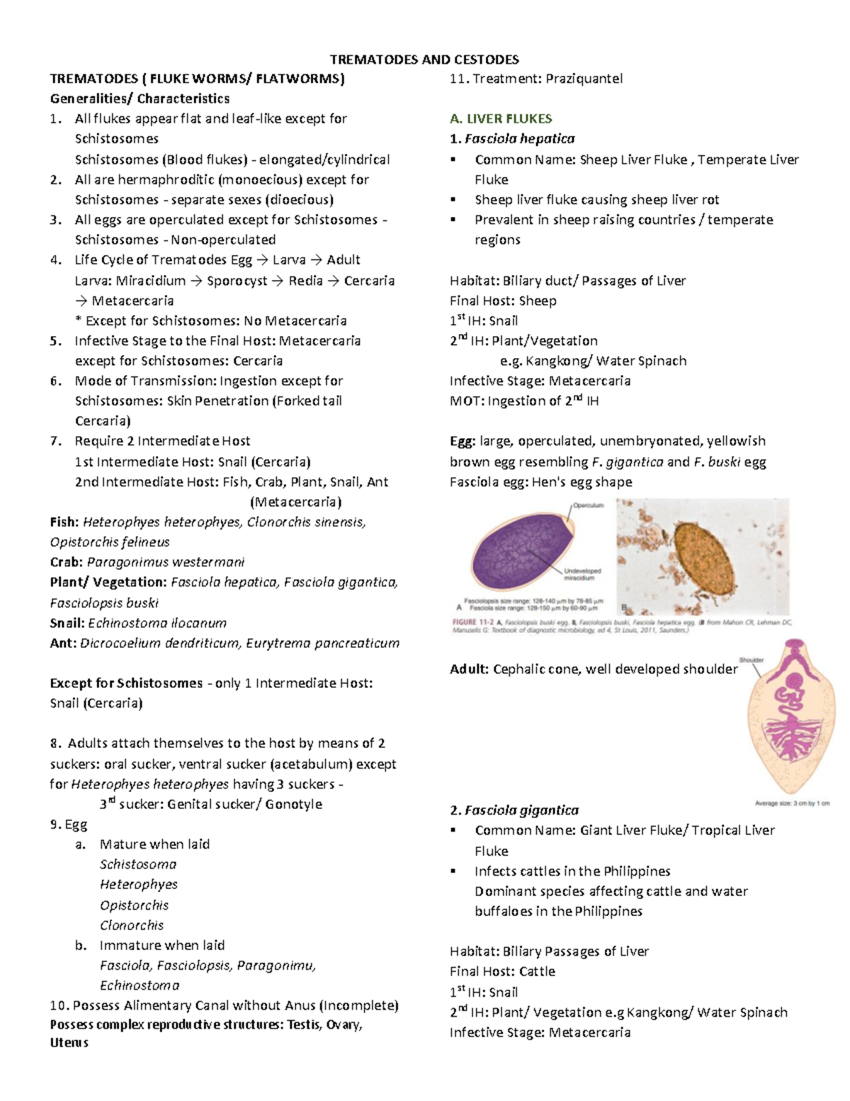TREMATODES AND CESTODES: Comprehensive Study Notes for Exam - Studocu