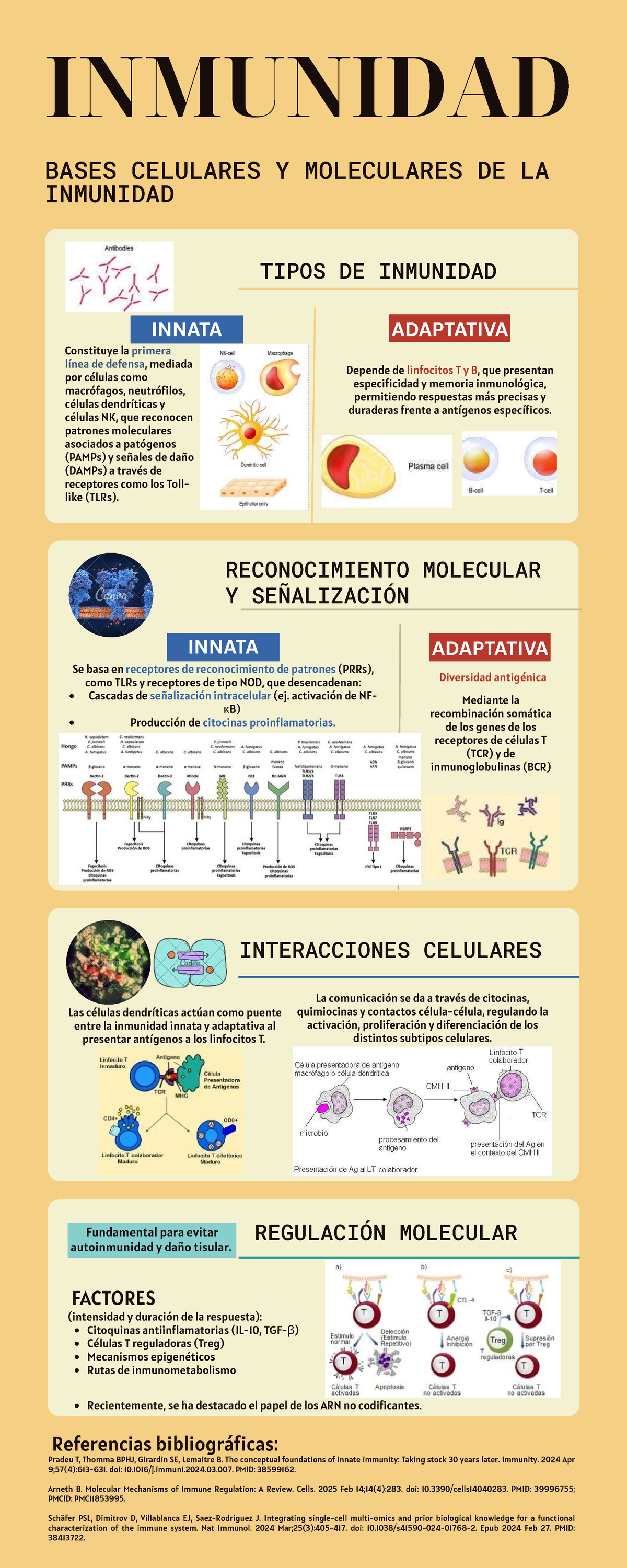 INM 101: Infografía sobre Función Inmunológica y Tipos de Inmunidad ...