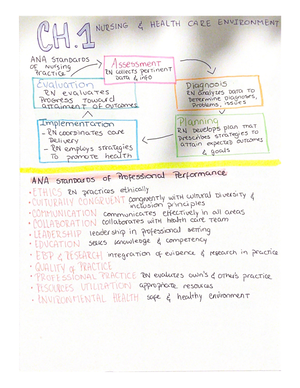 Anatomy of the respiratory system exercise 36 review sheet - EXERCISE ...