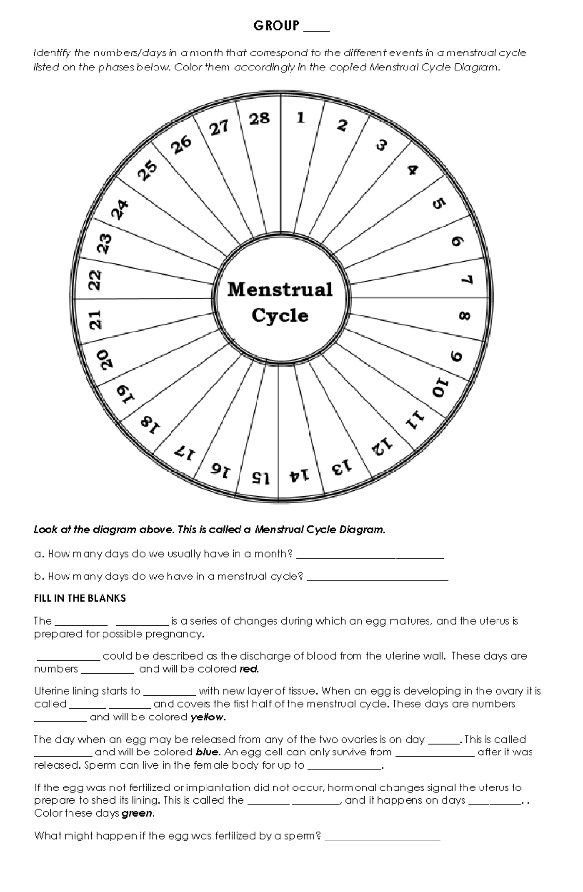 Activity 2: Analyzing the Menstrual Cycle Phases and Events - Studocu