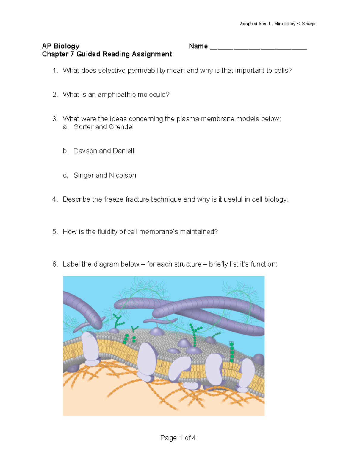 Ch. 7 study guide - Chapter 7 - Adapted from L. Miriello S. Sharp AP ...