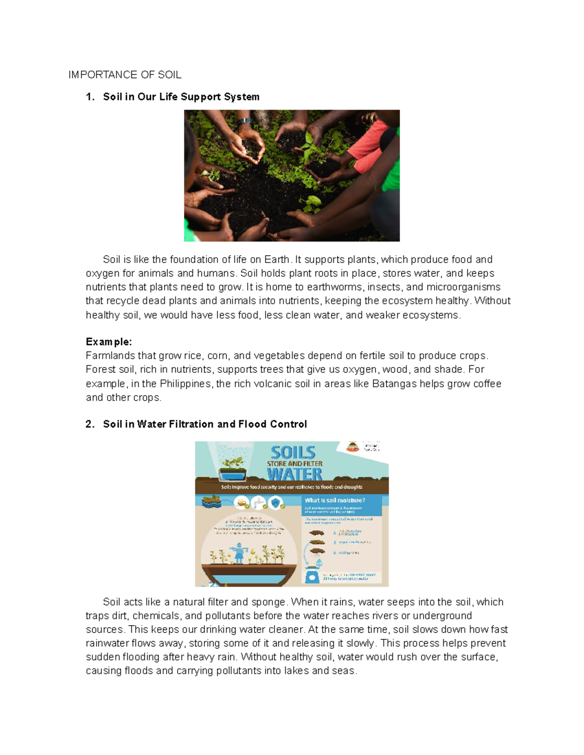 Importance of Soil: Essential Roles in Ecosystems and Infrastructure ...