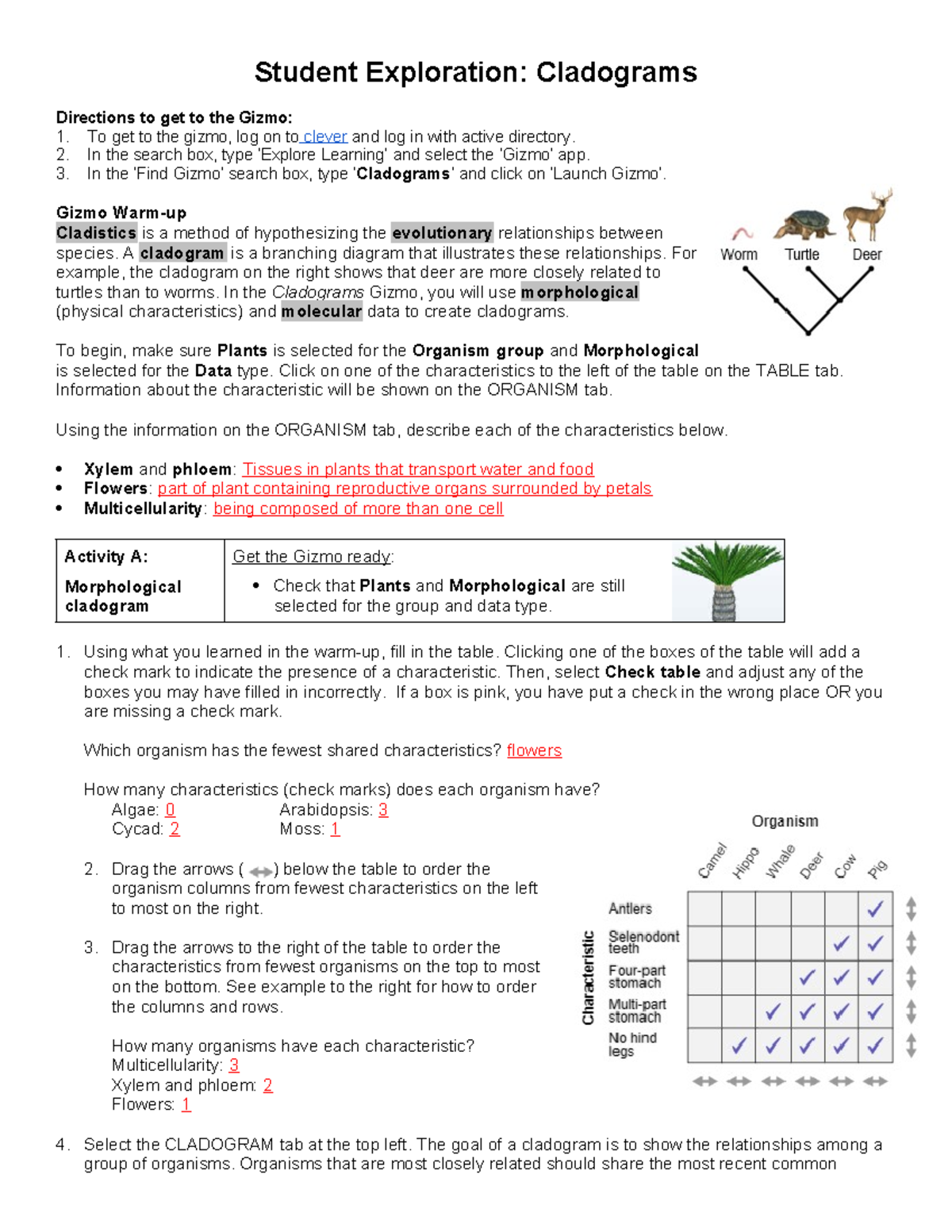 144 MedBio Cladogram Gizmo Exploration Guide and Activities - Studocu