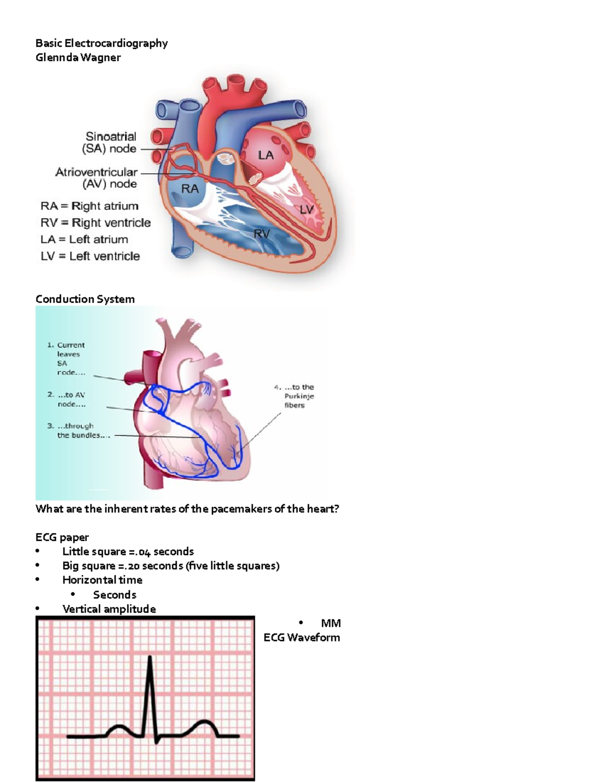 Basic ECG Notes: Understanding the Conduction System & Heart Rhythms ...