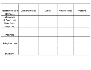 Chem Draw Activities 1 and 2 - ChemDraw Activity 1: Guided Tutorial ...
